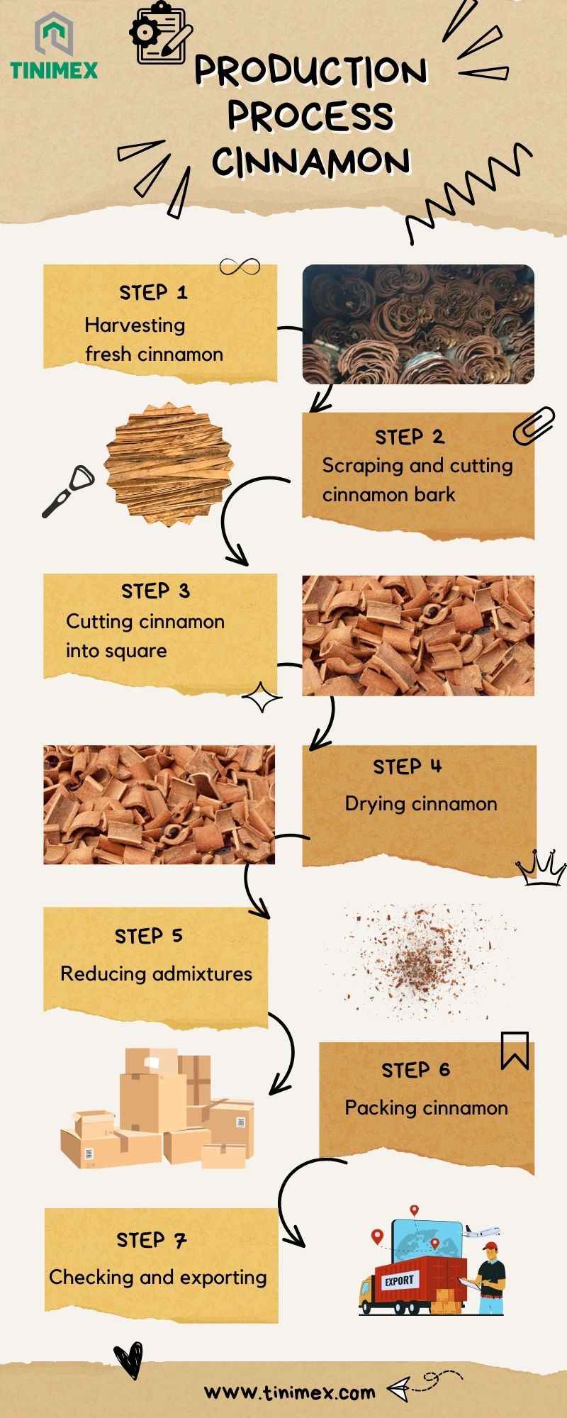🌿 Inside the Remarkable Cinnamon Journey: From Vietnamese Farms to ...