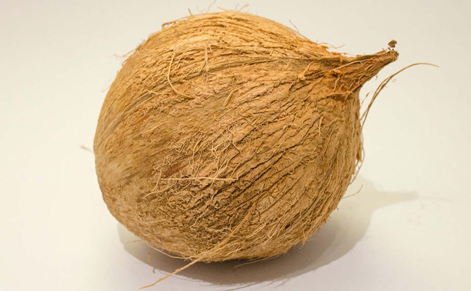 FULLY HUSKED COCONUT - TINIMEX - Chất Lượng Sản Phẩm Việt