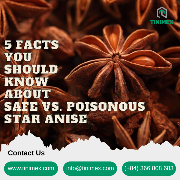Star Anise: 5 Facts About Safe vs. Poisonous